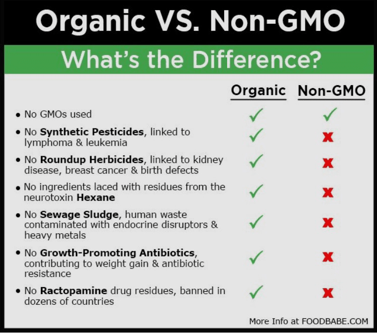The Medical Reasons for choosing Organic vs Non-Organic Foods - Dr. Ana ...